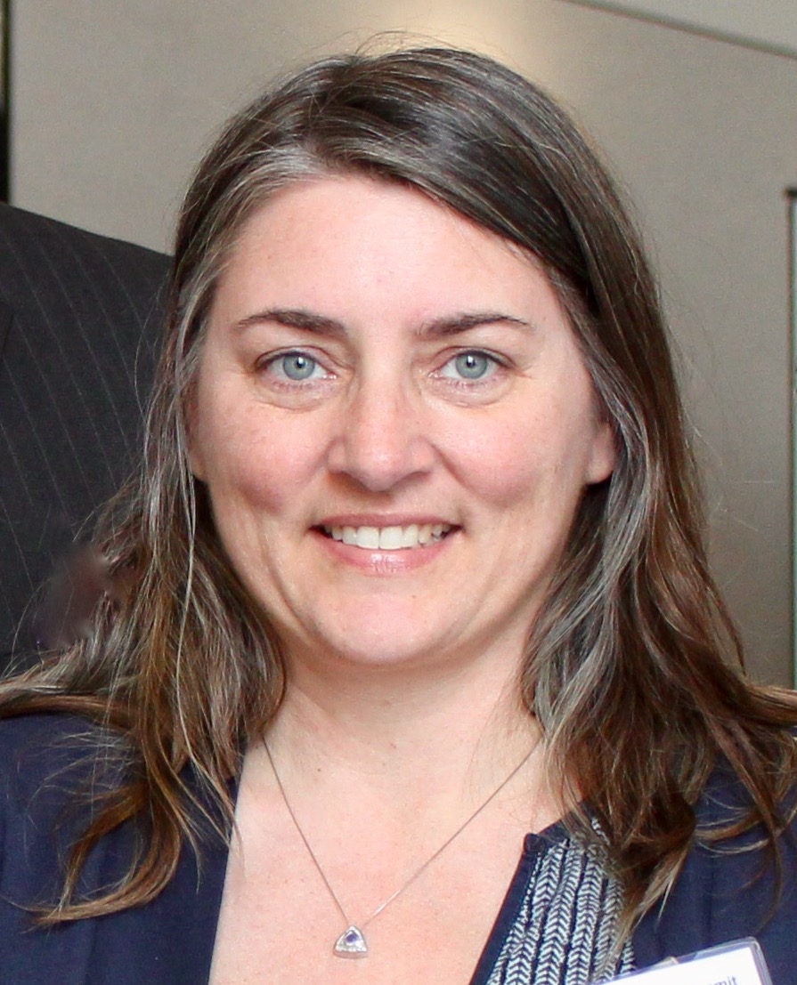 Uniting a Community for Birth Equity: Reshaping Birth Outcomes ...